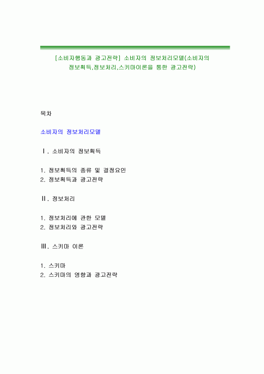 [소비자행동과 광고전략] 소비자의 정보처리모델(소비자의 정보획득,정보처리,스키마이론을 통한 광고전략)