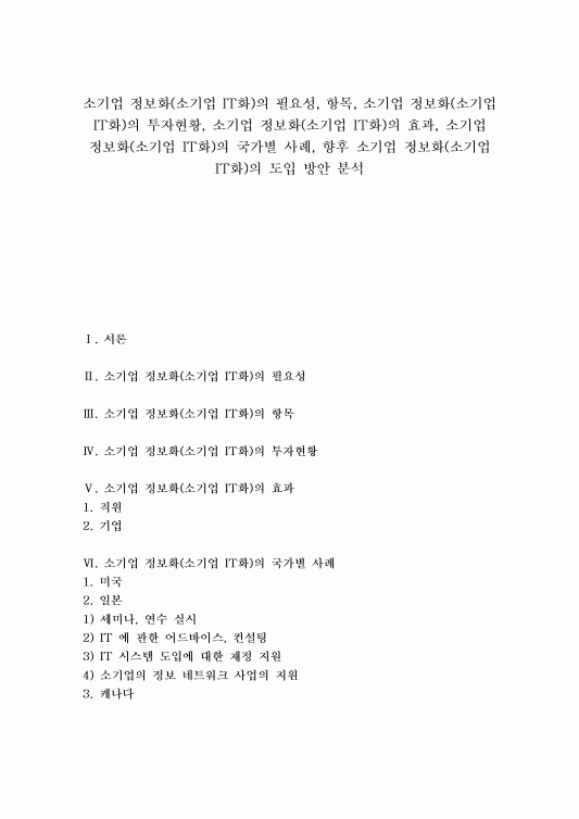 소기업 정보화(소기업 IT화)의 필요성, 항목, 소기업 정보화(소기업 IT화)의 투자현황, 소기업 정보화(소기업 IT화)의 효과, 소기업 정보화(소기업 IT화) 국가별 사례, 향후 소기업 정보화(소기업 IT화) 도입 방안