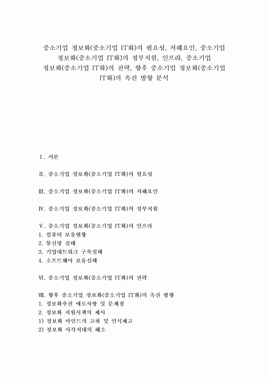 중소기업 정보화(중소기업 IT화)의 필요성, 저해요인, 중소기업 정보화(중소기업 IT화)의 정부지원, 인프라, 중소기업 정보화(중소기업 IT화)의 전략, 향후 중소기업 정보화(중소기업 IT화)의 촉진 방향 분석