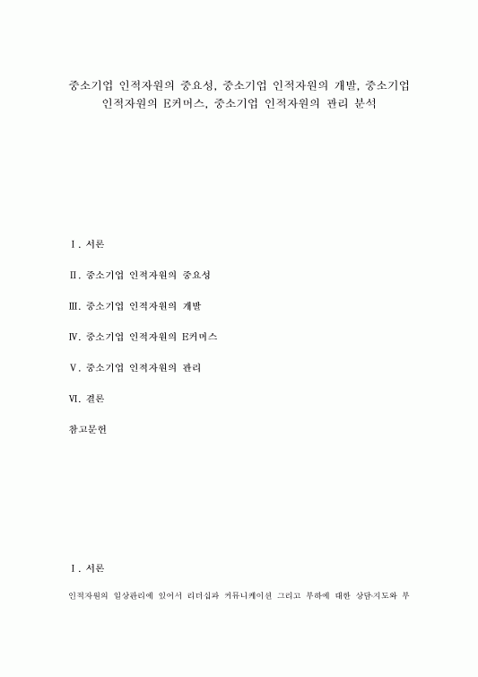 [중소기업 인적자원][중소기업][인적자원][기업][중소기업 인적자원 중요성][E커머스]중소기업 인적자원의 중요성, 중소기업 인적자원의 개발, 중소기업 인적자원의 E커머스, 중소기업 인적자원의 관리 분석