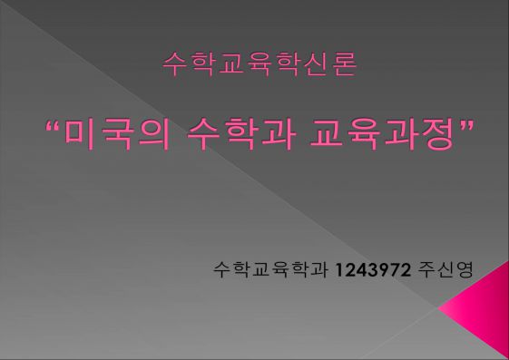 수학교육학신론-미국의 수학과 교육과정 ppt자료