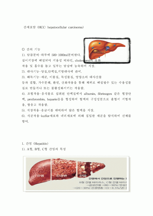 간세포암 (HCC: hepatocellular carcinoma) , A형간염, B형간염, C형간염, 간경변증 구분