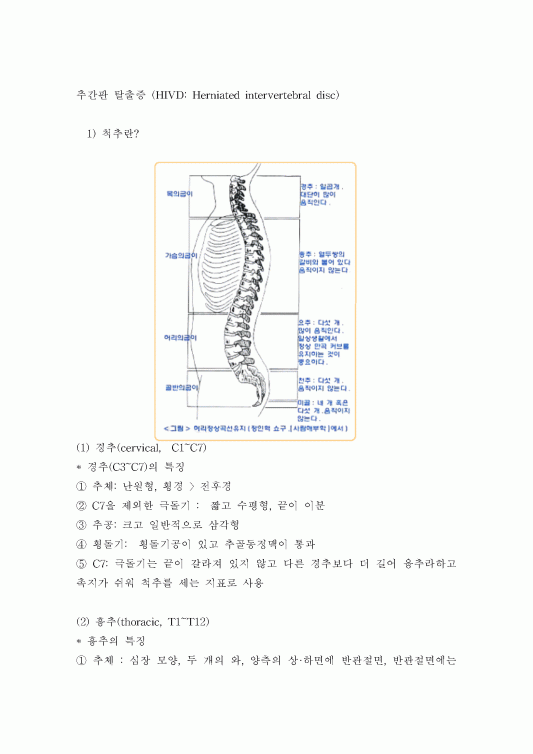 추간판 탈출증 (HIVD: Herniated intervertebral disc)