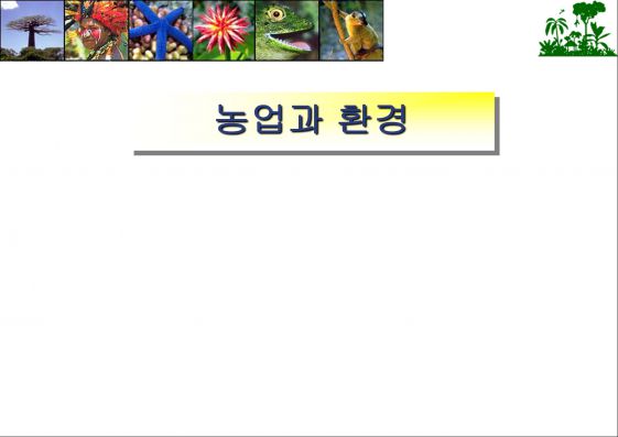 농업과 환경 레포트 자료