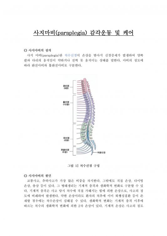 [재활의학] 사지마비[paraplegia] 감각운동 및 케어