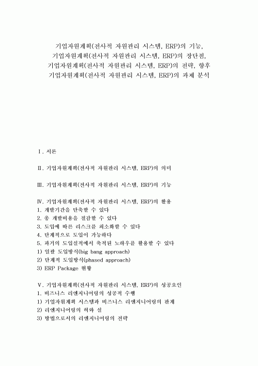 기업자원계획(전사적 자원관리 시스템, ERP) 기능, 기업자원계획(전사적 자원관리 시스템, ERP) 장단점, 기업자원계획(전사적 자원관리 시스템, ERP) 전략, 향후 기업자원계획(전사적 자원관리 시스템, ERP) 과제