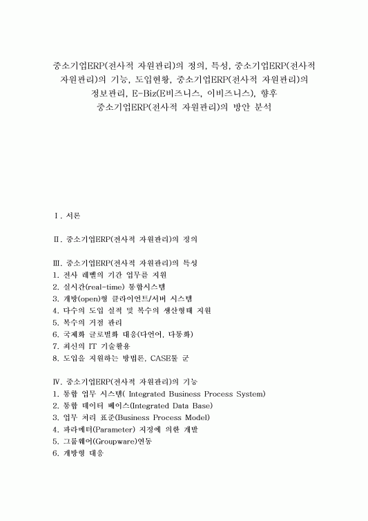 중소기업ERP(전사적 자원관리)의 정의, 특성, 중소기업ERP(전사적 자원관리) 기능, 도입현황, 중소기업ERP(전사적 자원관리) 정보관리, E-Biz(E비즈니스, 이비즈니스), 향후 중소기업ERP(전사적 자원관리) 방안