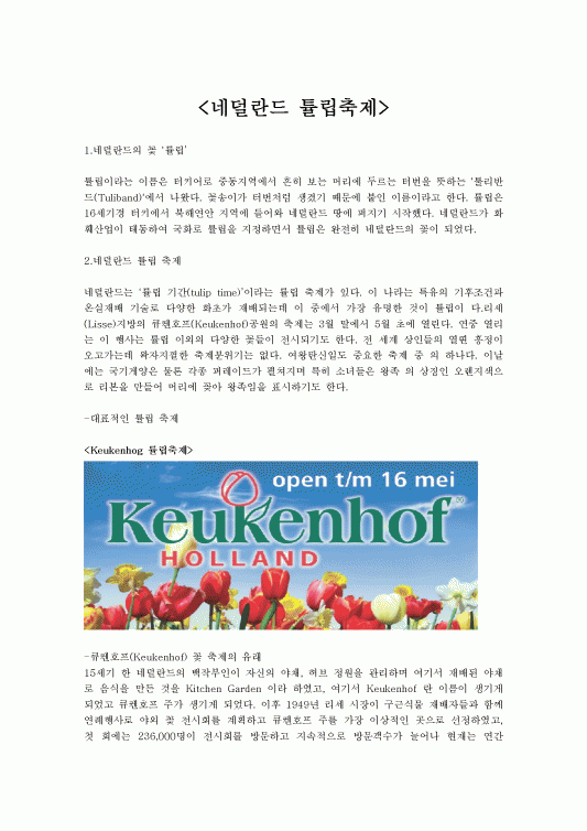 네덜란드 튤립축제