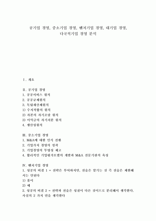 [기업 경영][공기업 경영][중소기업 경영][벤처기업 경영][대기업 경영][다국적기업 경영]공기업 경영, 중소기업 경영, 벤처기업 경영, 대기업 경영, 다국적기업 경영 분석(기업 경영, 대기업 경영, 공기업 경영)