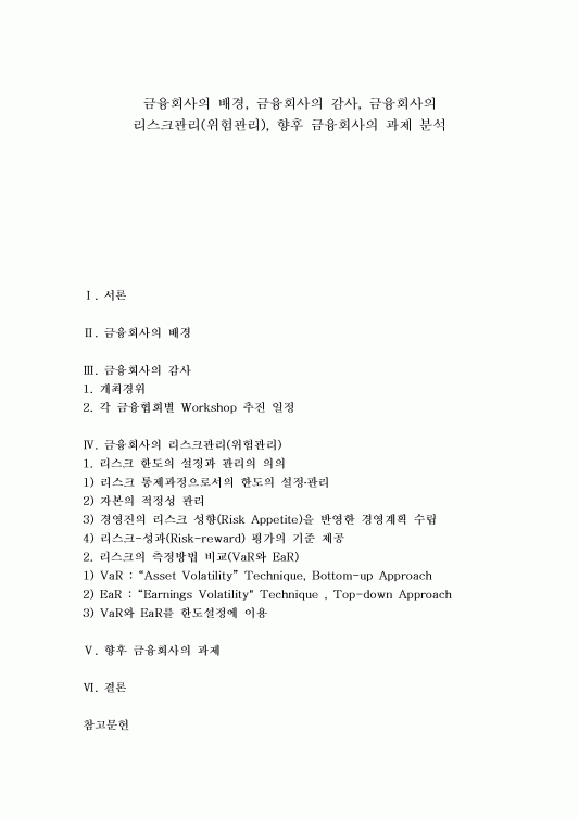 [금융회사][금융회사 배경][금융회사 감사][금융회사 리스크관리][금융회사 위험관리][금융회사 과제][위험관리]금융회사의 배경, 금융회사의 감사, 금융회사의 리스크관리(위험관리), 향후 금융회사의 과제