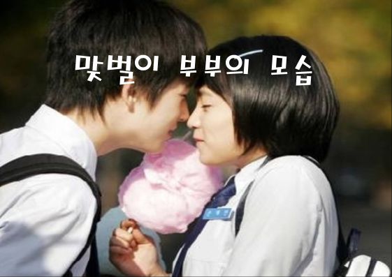 맞벌이가정,맞벌이부부,맞벌이부부의 문제점 및 원인