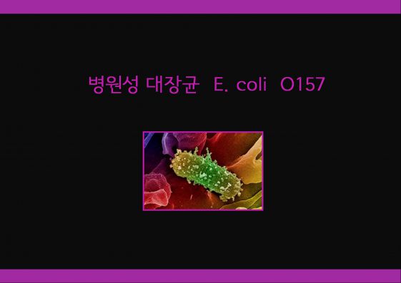 병원성 대장균  E. coli  O157,대장균,대장균실제사례와해악성,o157