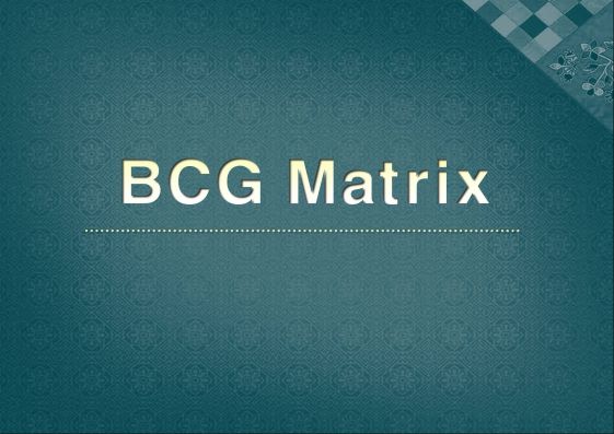 BCG Matrix 레포트 자료