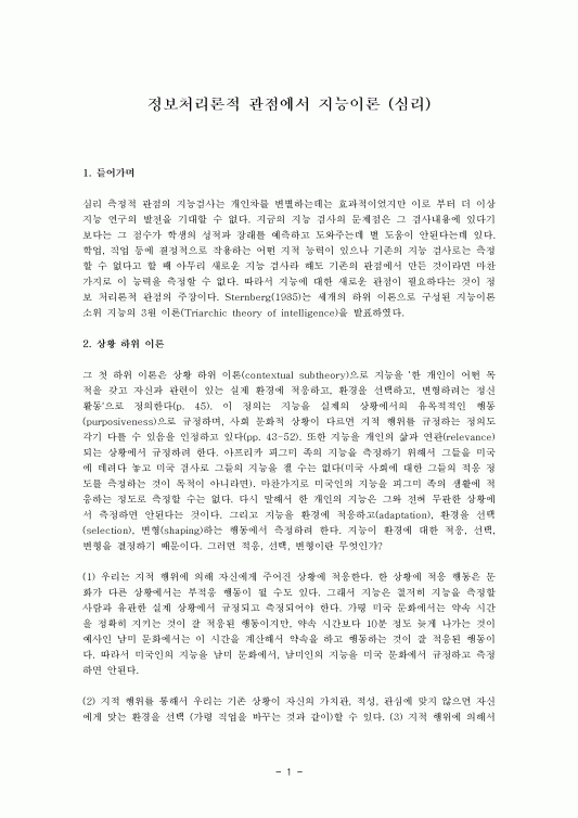 정보처리론적 관점에서 지능이론