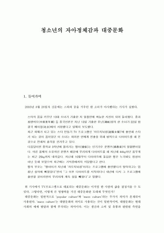 청소년의 자아정체감과 대중문화