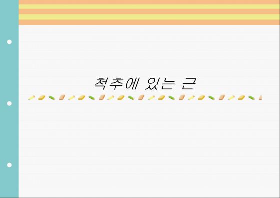 [해부생리] 척추를 움직이는 근육들