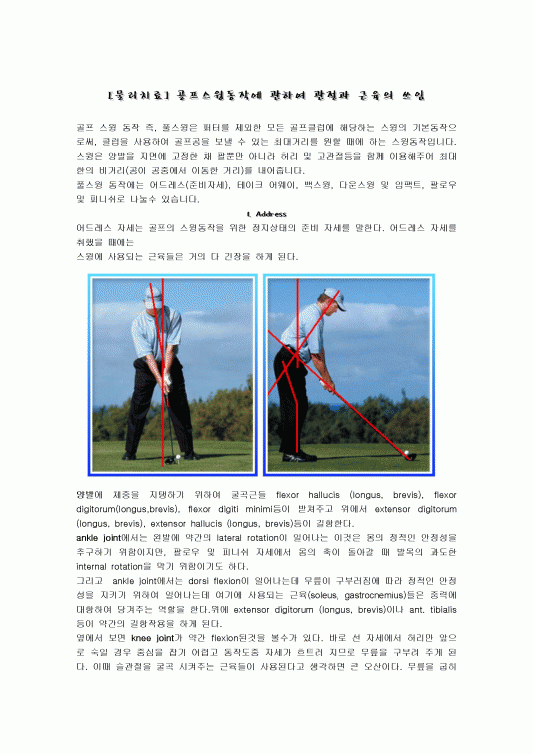 [물리치료] 골프스윙동작에 관하여 관절과 근육의 쓰임