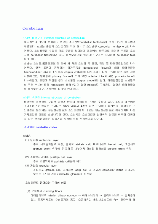 [신경해부] 소뇌와 소뇌장애