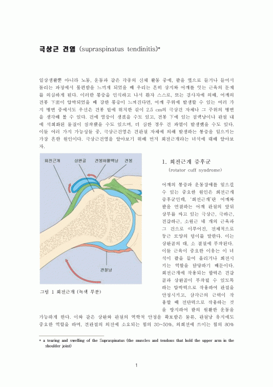 [의학] 극상근 건염[supraspinatus tendinitis]에 관해