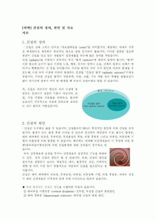 [의학] 간질의 정의, 원인 및 치료