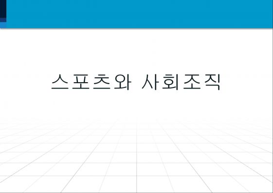 [스포츠와 사회조직] 조직의 유형, 구성요소, 리더쉽, 스포츠사회학