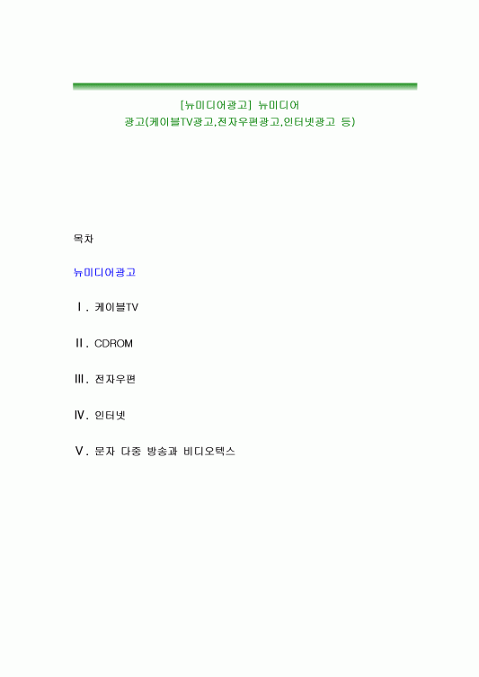 [뉴미디어광고] 뉴미디어 광고(케이블TV광고,전자우편광고,인터넷광고 등)