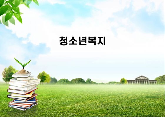 청소년 문제의 복지적 접근 보고서