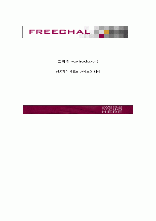 [커뮤니케이션이론] 프리챌의 마케팅 전략