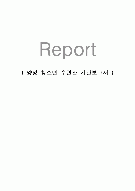 양정 청소년 수련관 기관보고서