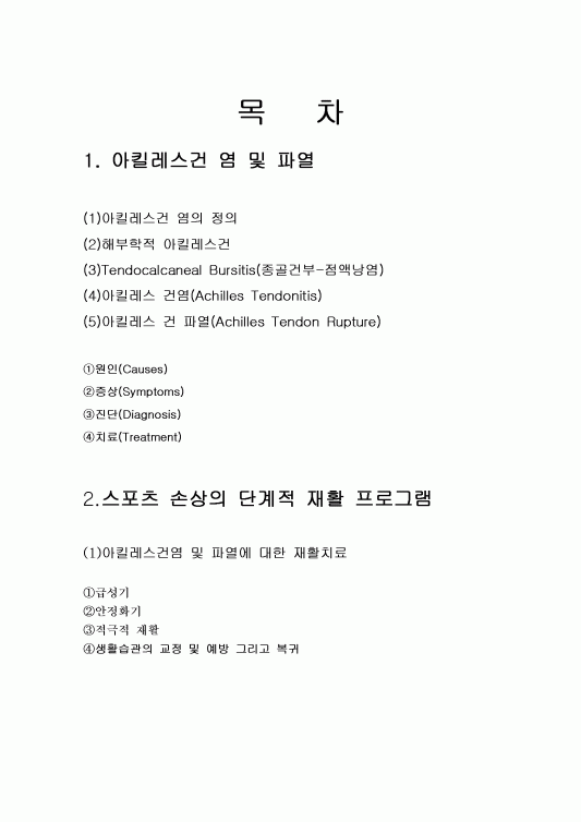 아킬레스건 염과 파열 및 재활프로그램