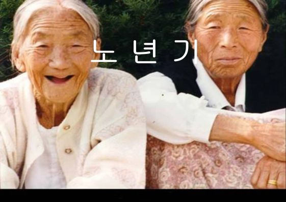 [사회] 노년기