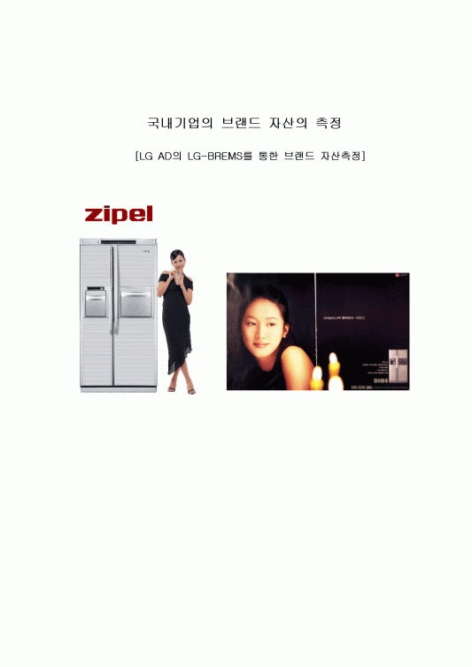 국내기업의 브랜드 자산의 측정 [LG AD의 LG-BREMS를 통한 브랜드 자산측정]