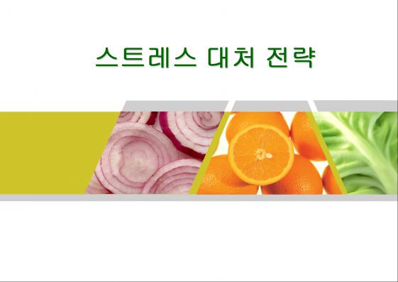 스트레스 대처 전략 (한국인 스트레스 현황, 한국인 스트레스성 질환, 스트레스 유형 자가진단, 스트레스 직접적대처, 스트레스 방어적대처, 스트레스 해소방안, 스트레스 대처방법, 효과적인 스트레스 해결방안)