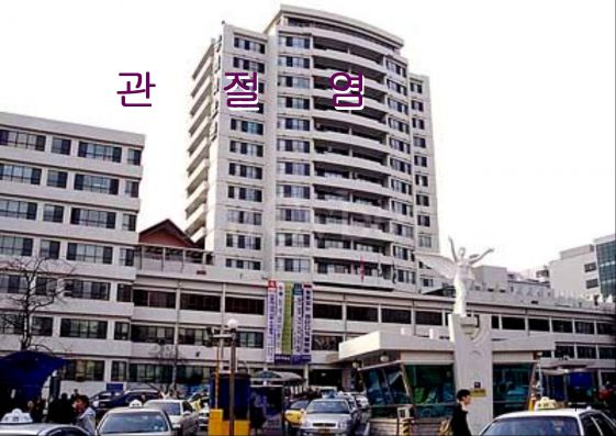 관절염 레포트 자료