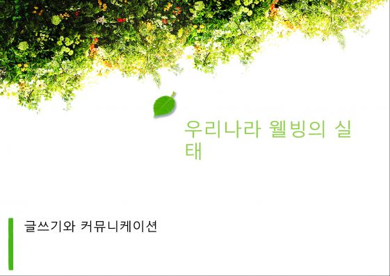 우리나라 웰빙의 실태