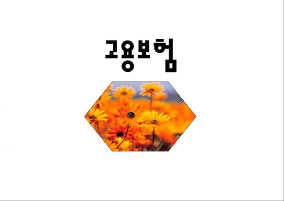 고용보험(실업대책, 고용보험제도, 고용보험사업, 실업급여사업, 모성보호사업) 파워포인트 PPT
