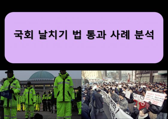 국회 날치기 법 통과 사례 분석
