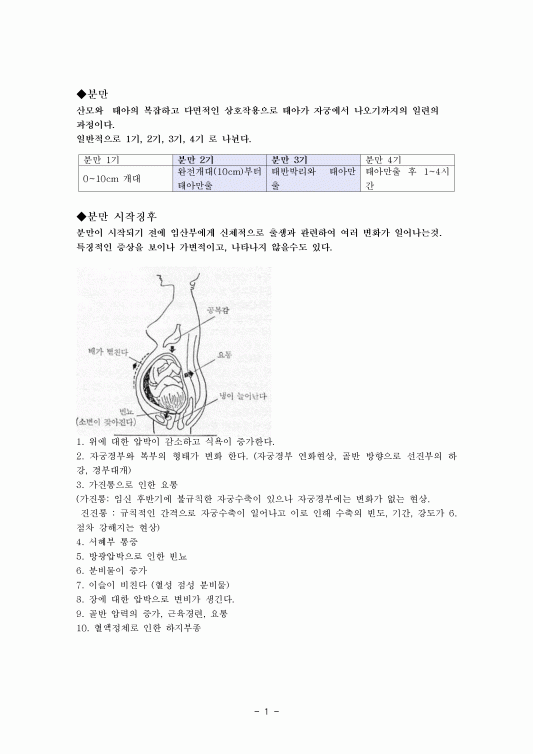 분만 간호 레포트 자료