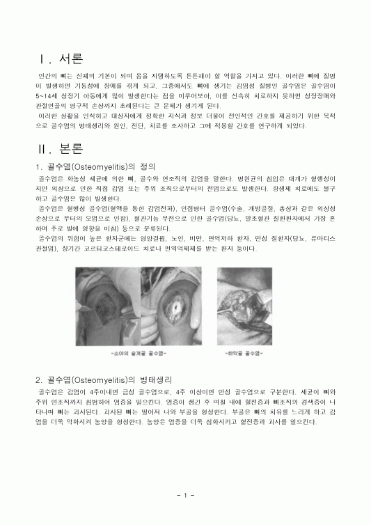 골수염 대상자 간호 보고서