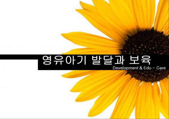 영유아기 발달과 보육