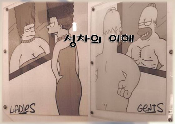 성역할, 의사소통차이, 의사소통방식차이, 남성과여성의역할변화,성차,성차별