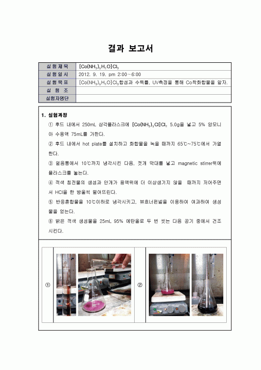 무기 화학 실험 보고서