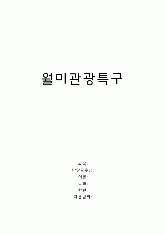 관광 특구 레포트 자료