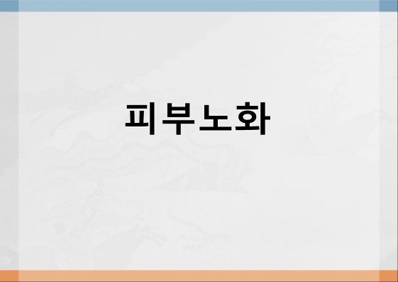 피부 노화 레포트 자료