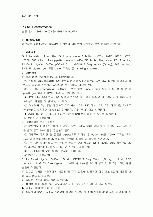 유전공학 실험 레포트