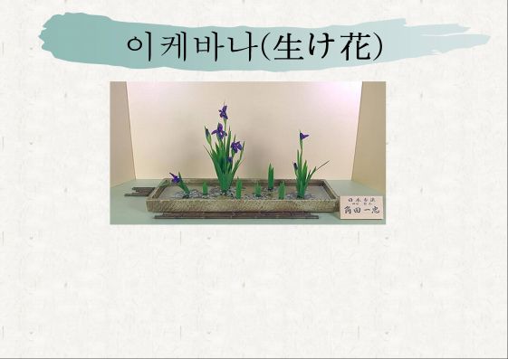 [인문과학] 이케바나