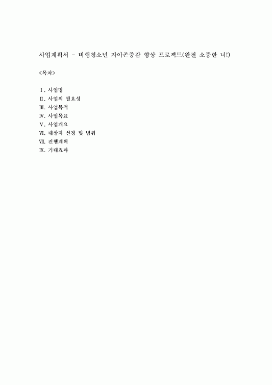 사업계획서 - 비행청소년 자아존중감 향상 프로젝트(완전 소중한 너!)