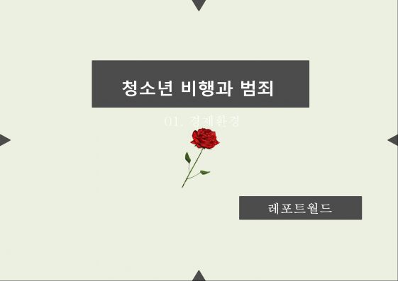 청소년 비행과 범죄