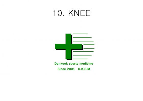 KNEE 레포트 자료