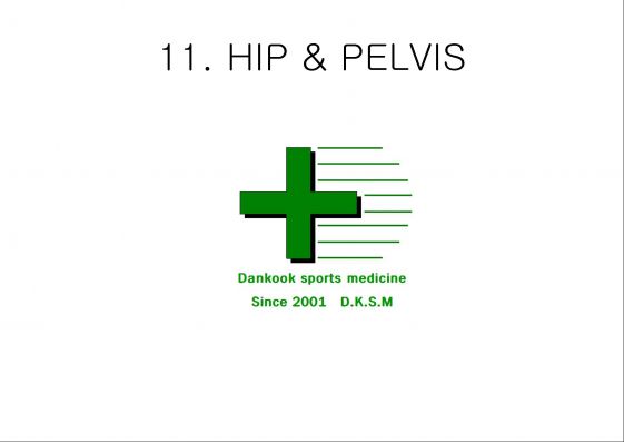HIP & PELVIS 레포트 자료